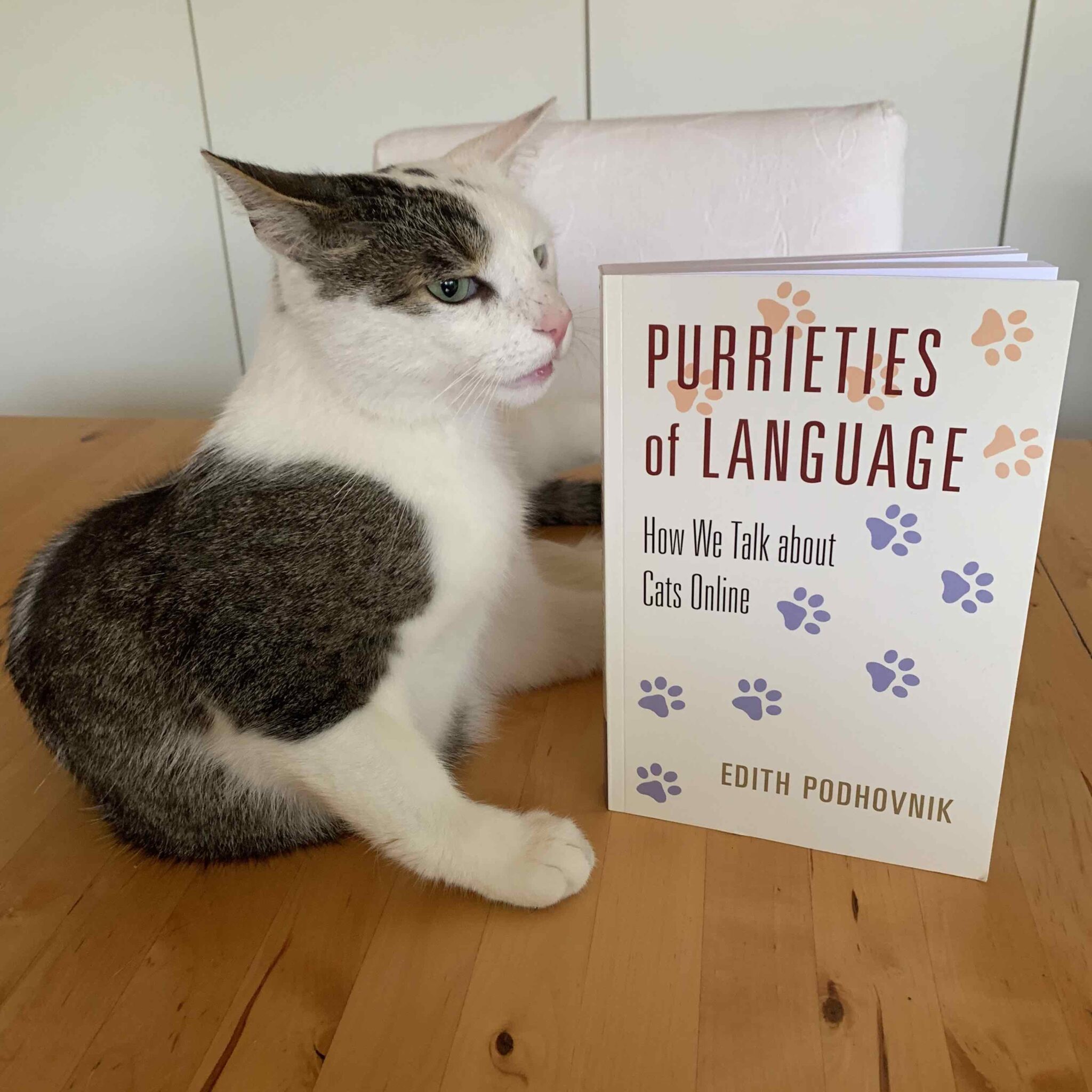 Sach- und Tierbuch des Monats August – Der Haubentaucher